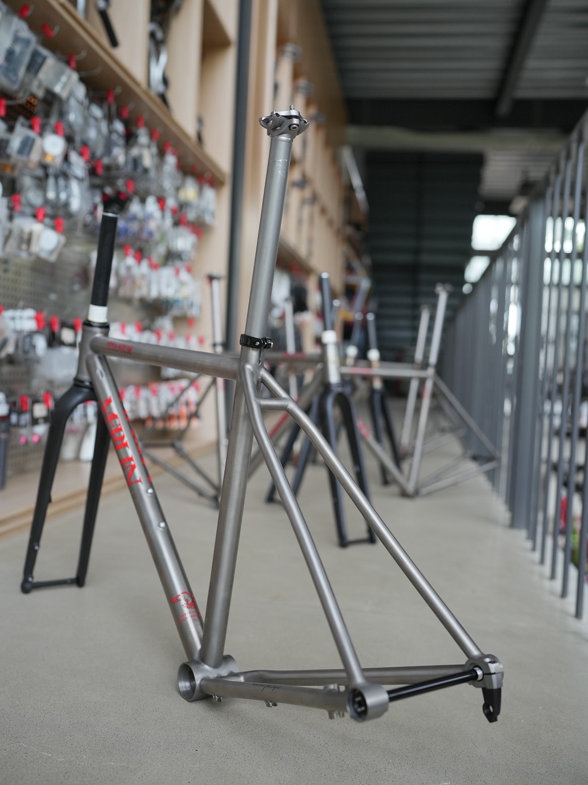 Merlin Sandstone Gravel Titanium Frame - Red Decal – SpinWarriors